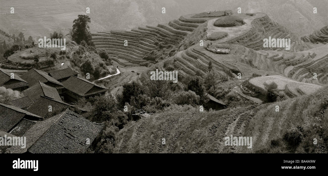 Large rice terraces hi-res stock photography and images - Alamy