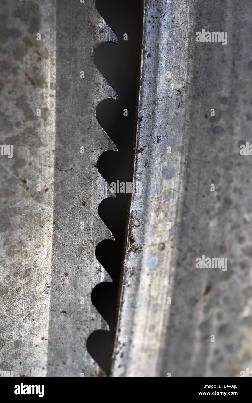 Stained saw-leaf detail saw teeth 04/2006 Stock Photo - Alamy