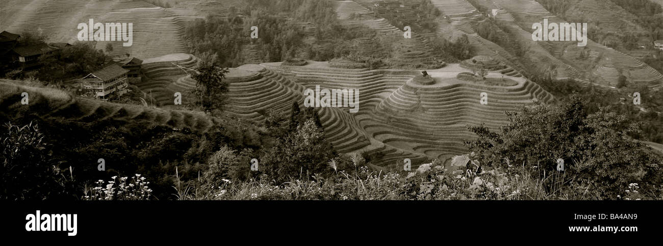 Large rice terraces hi-res stock photography and images - Alamy