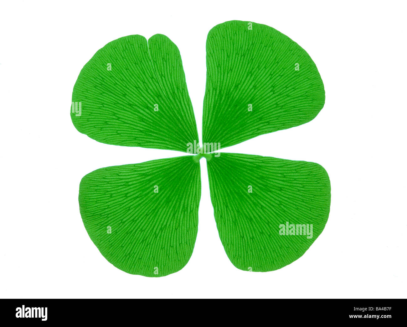 Square clover Cut Out Stock Images & Pictures - Alamy