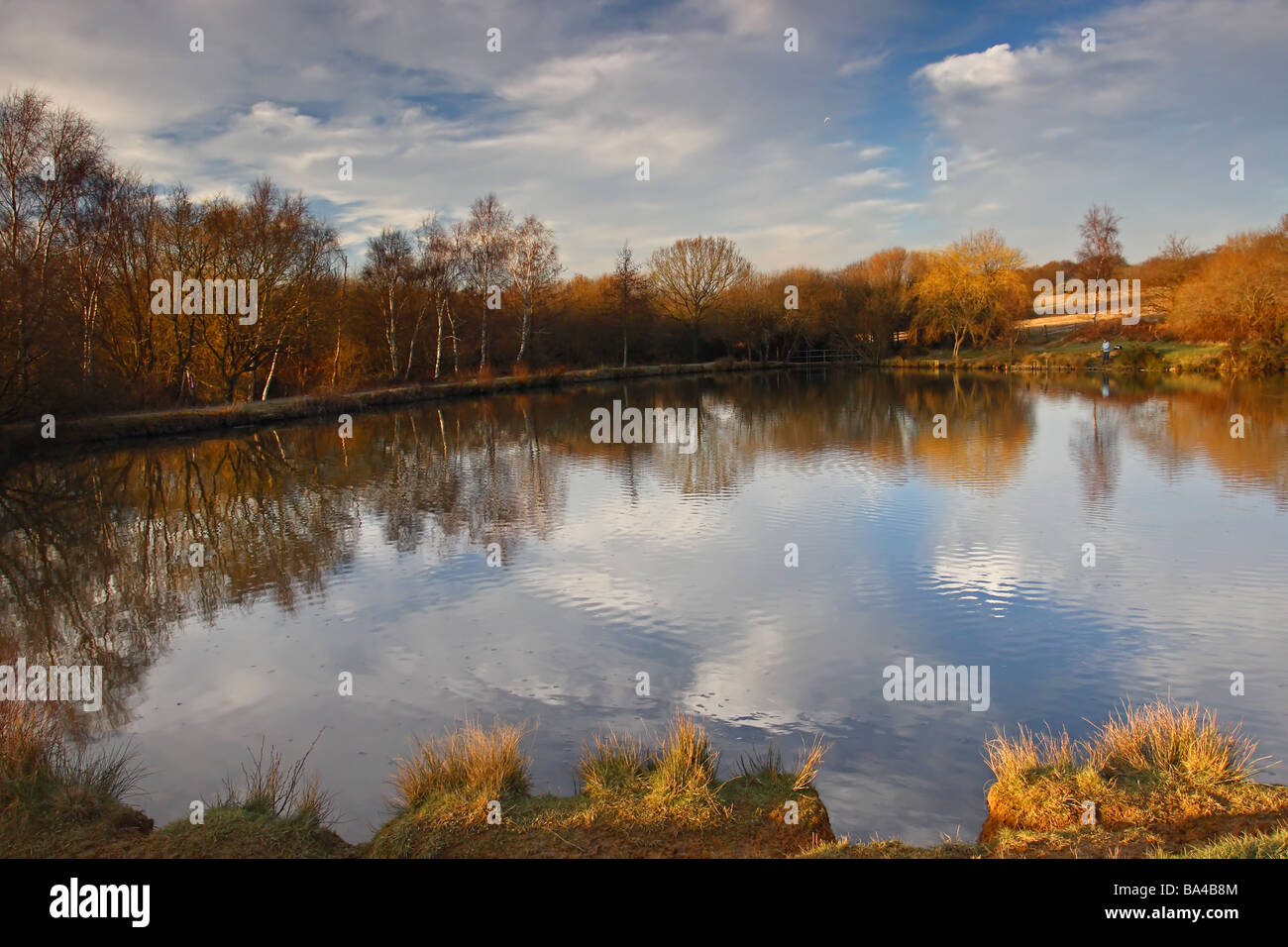 Ditchling Common Sussex Stock Photo - Alamy