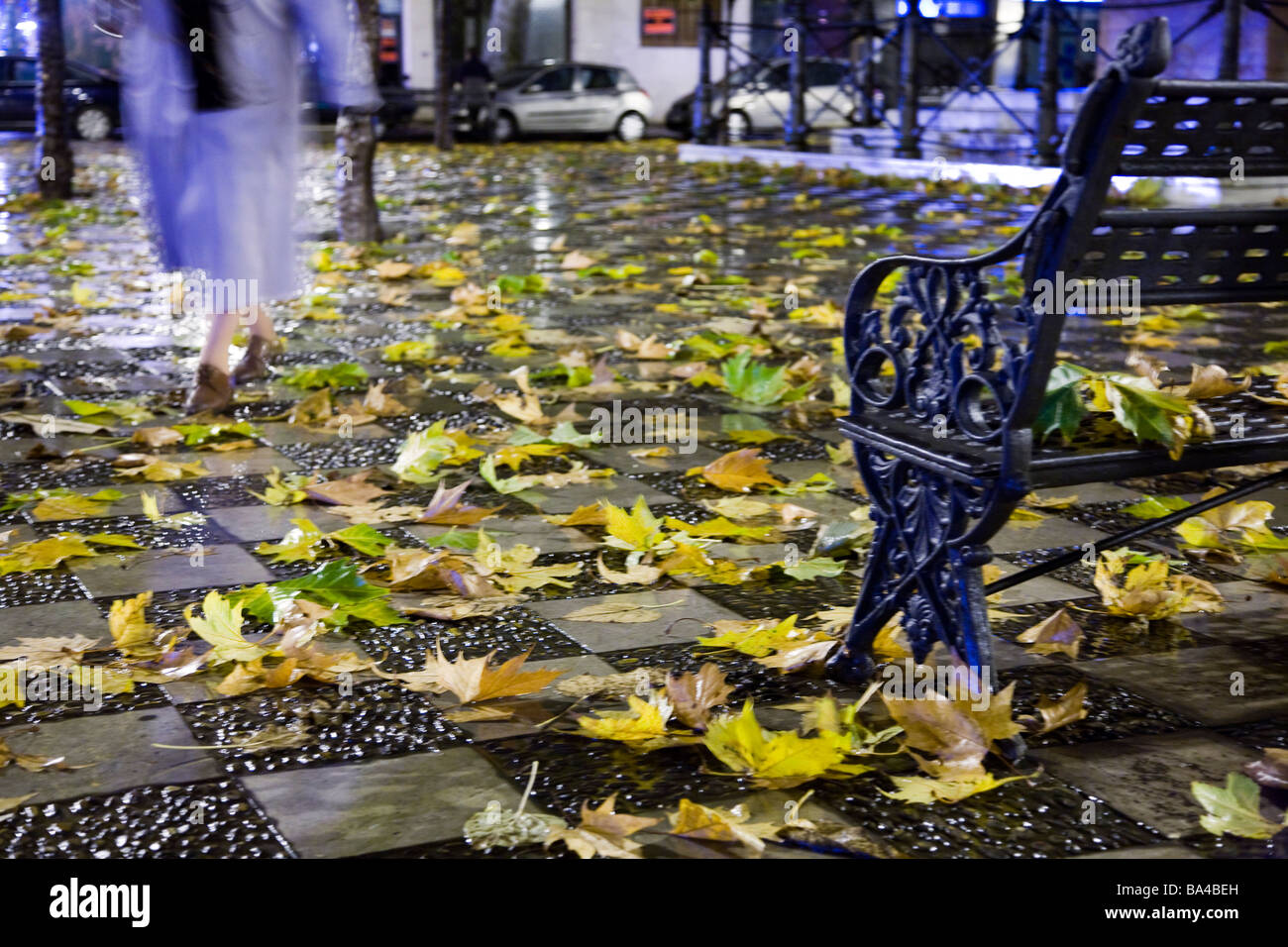 Community leaves hi-res stock photography and images - Alamy