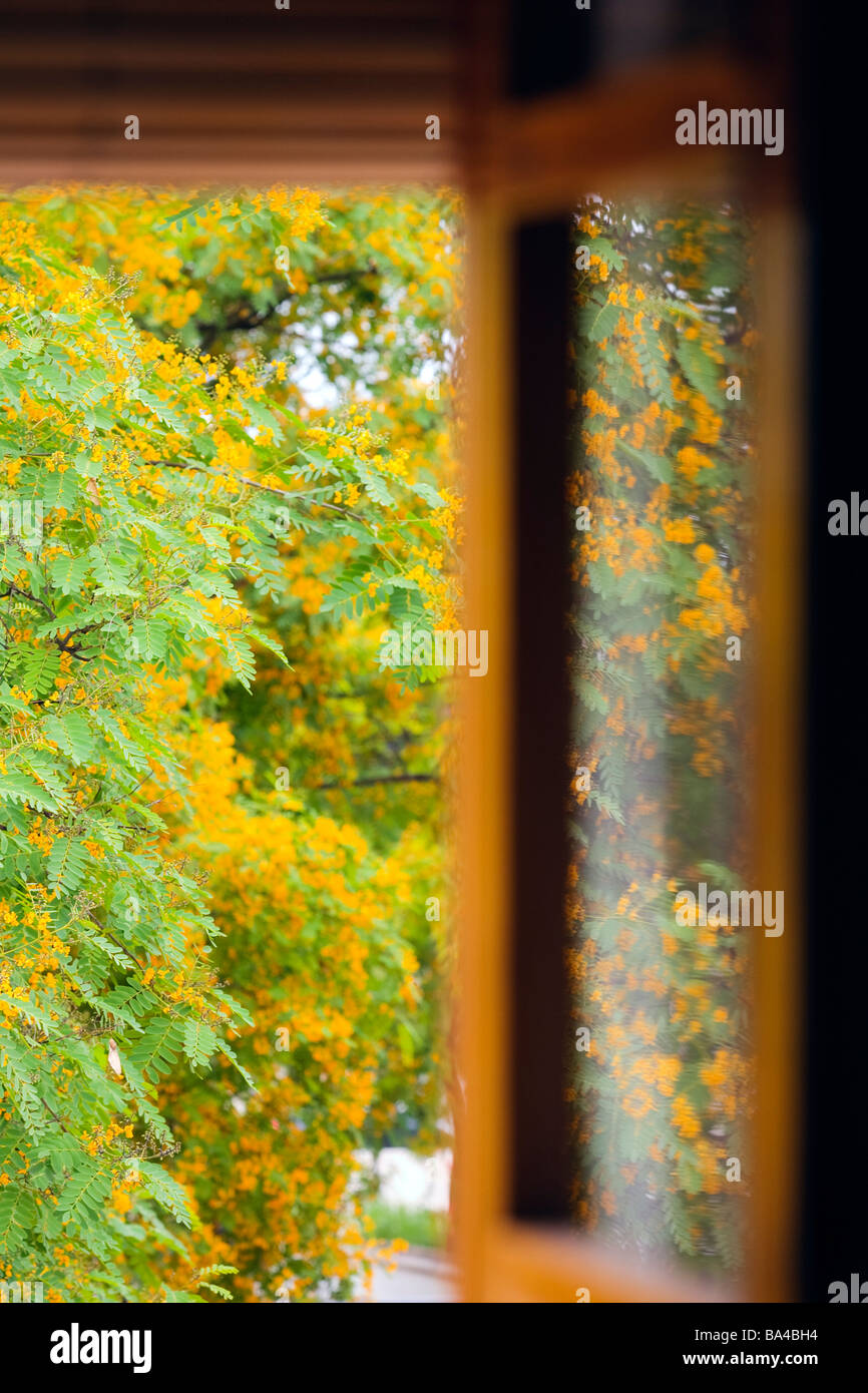 Springtime through the window Seville Spain Stock Photo - Alamy