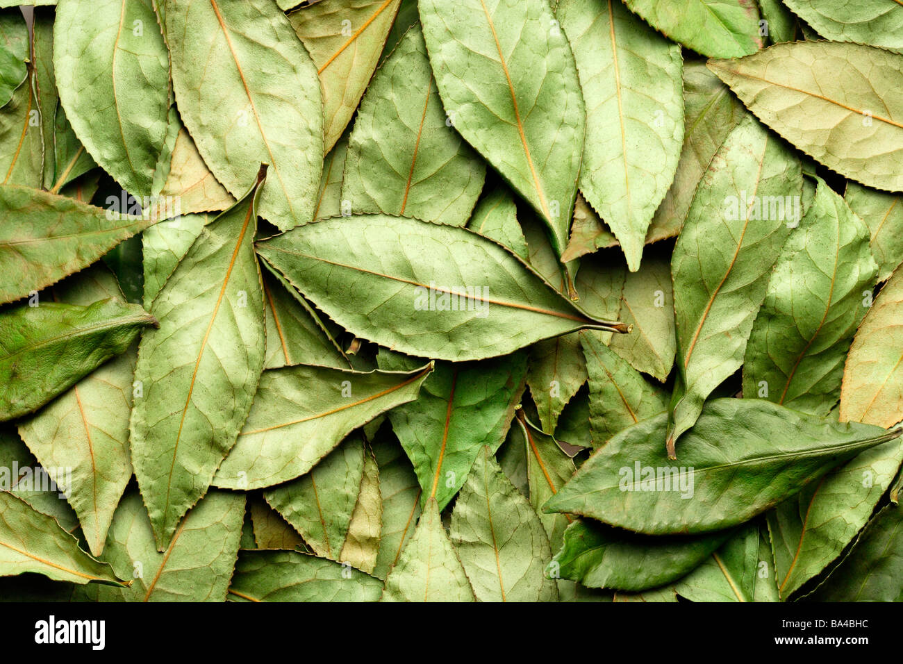 Tea leaves full frame Stock Photo - Alamy