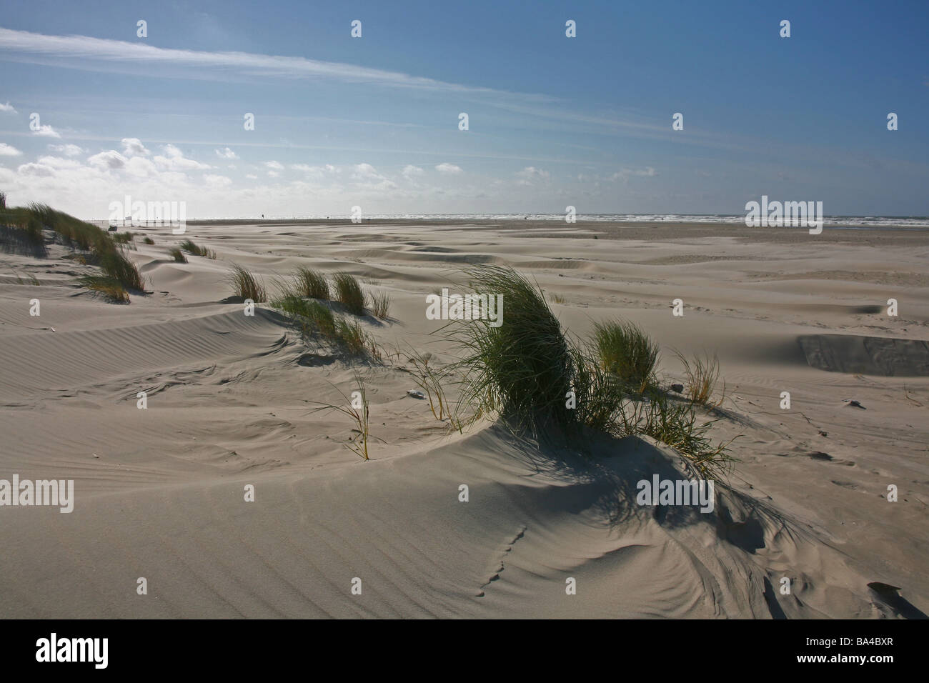 Sandy beach dune-grass sea-gaze cloud-heavens back light beach beach ...