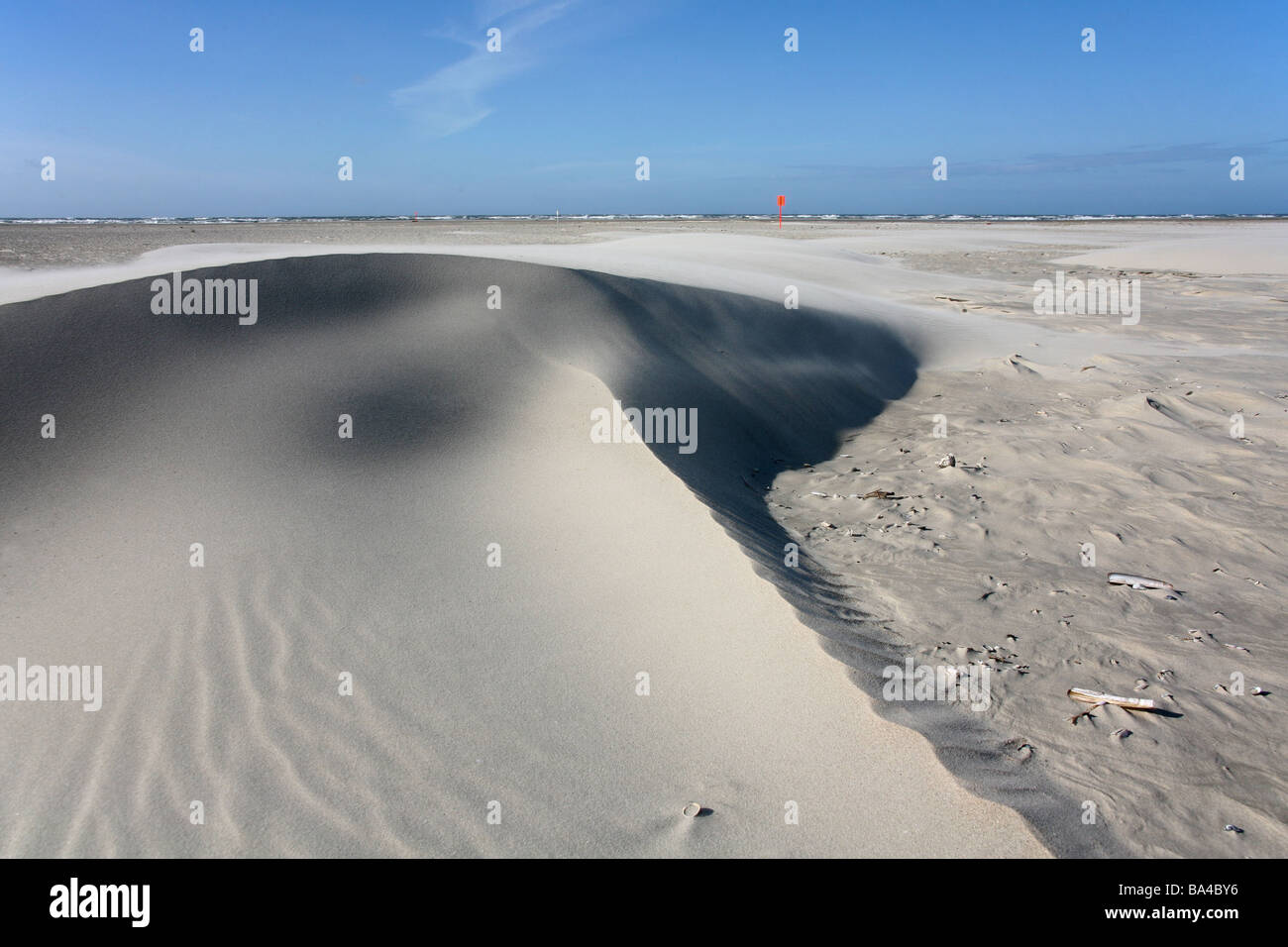 Sandy beach dunes human-empty beach beach human-empty leaves sand-dunes ...