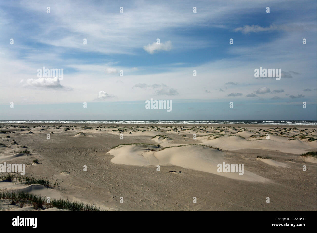 Sandy beach dunes grass sea-gaze cloud-heavens beach beach human-empty ...