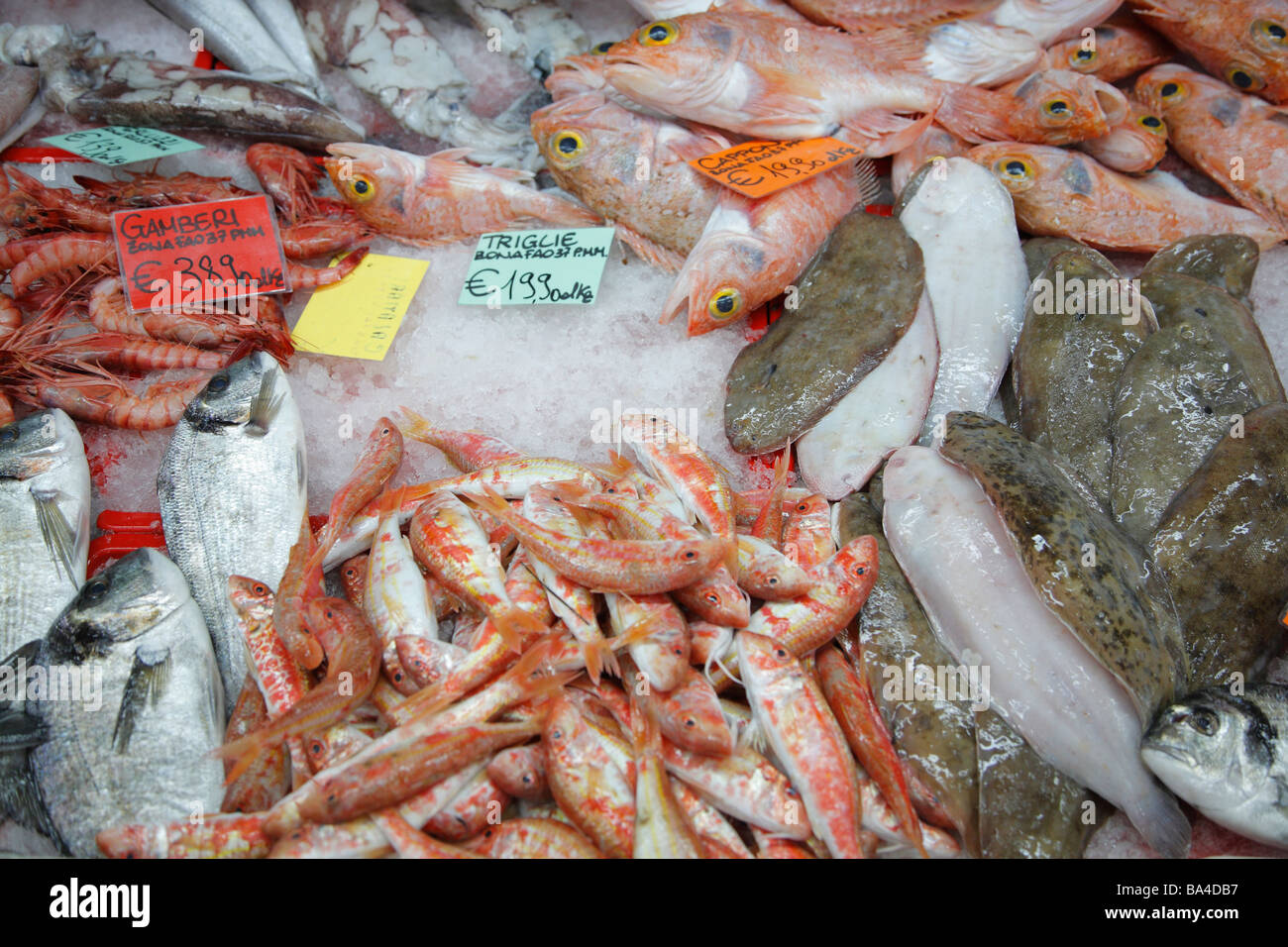 Sardinia fish market hi-res stock photography and images - Alamy