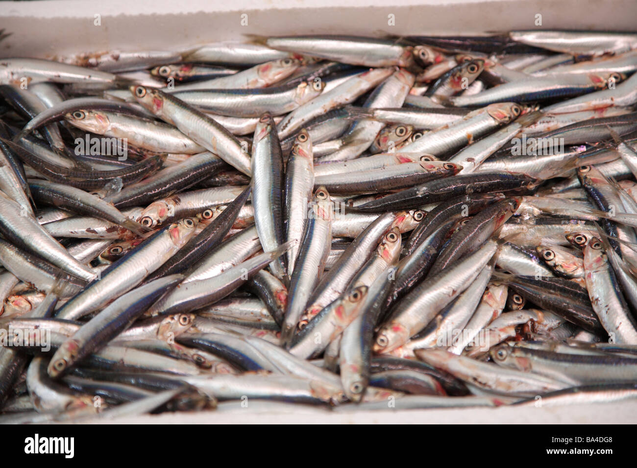 Sardinia fish market hi-res stock photography and images - Alamy