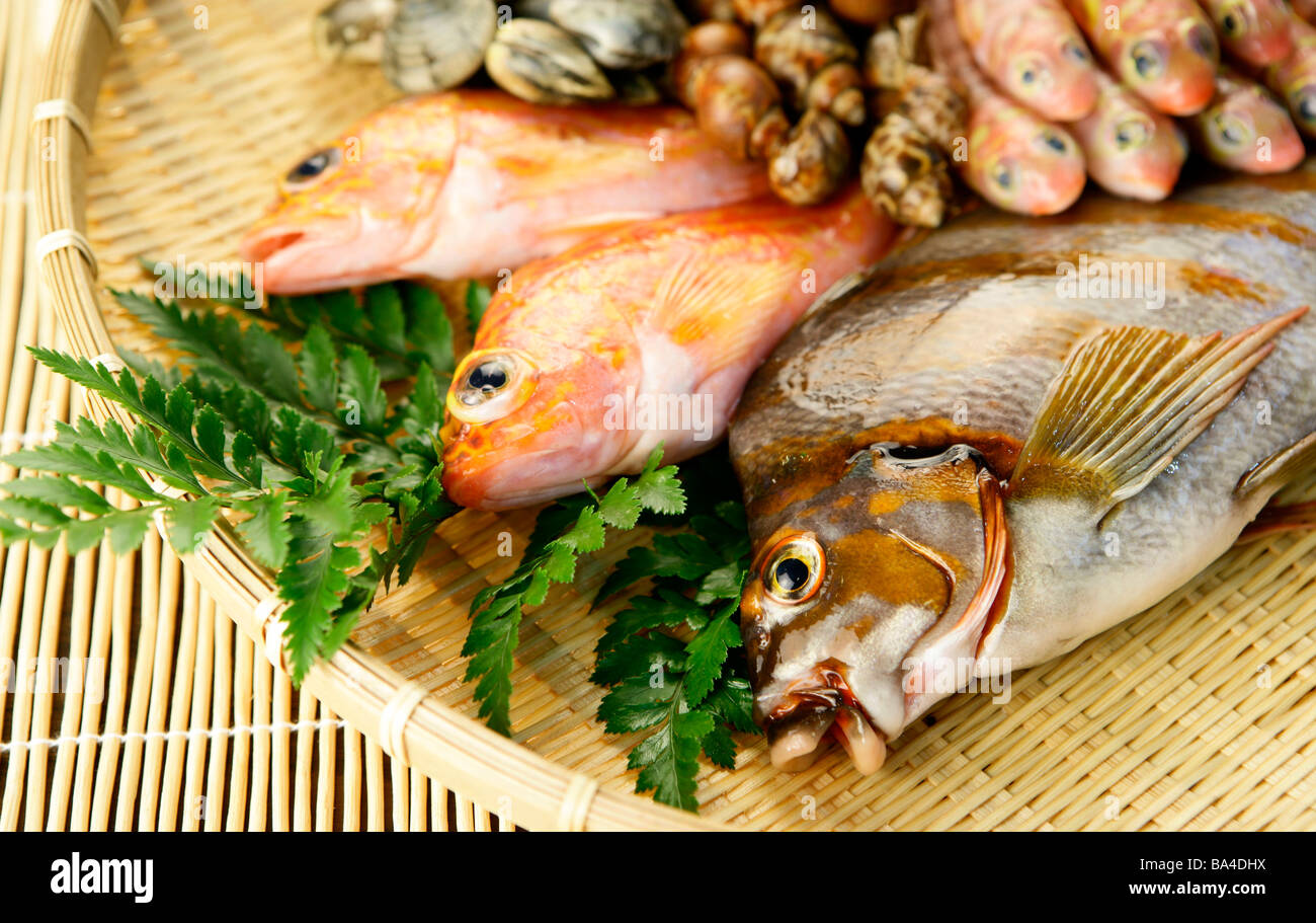 Close up of raw fish on cane basket Stock Photo - Alamy