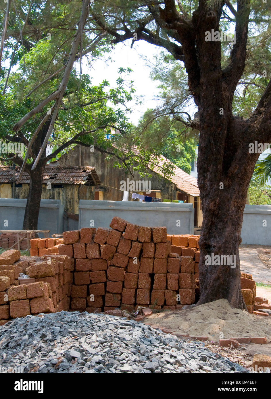 Pile of handmade local bricks stacked up beside a tree,Matancherry ...