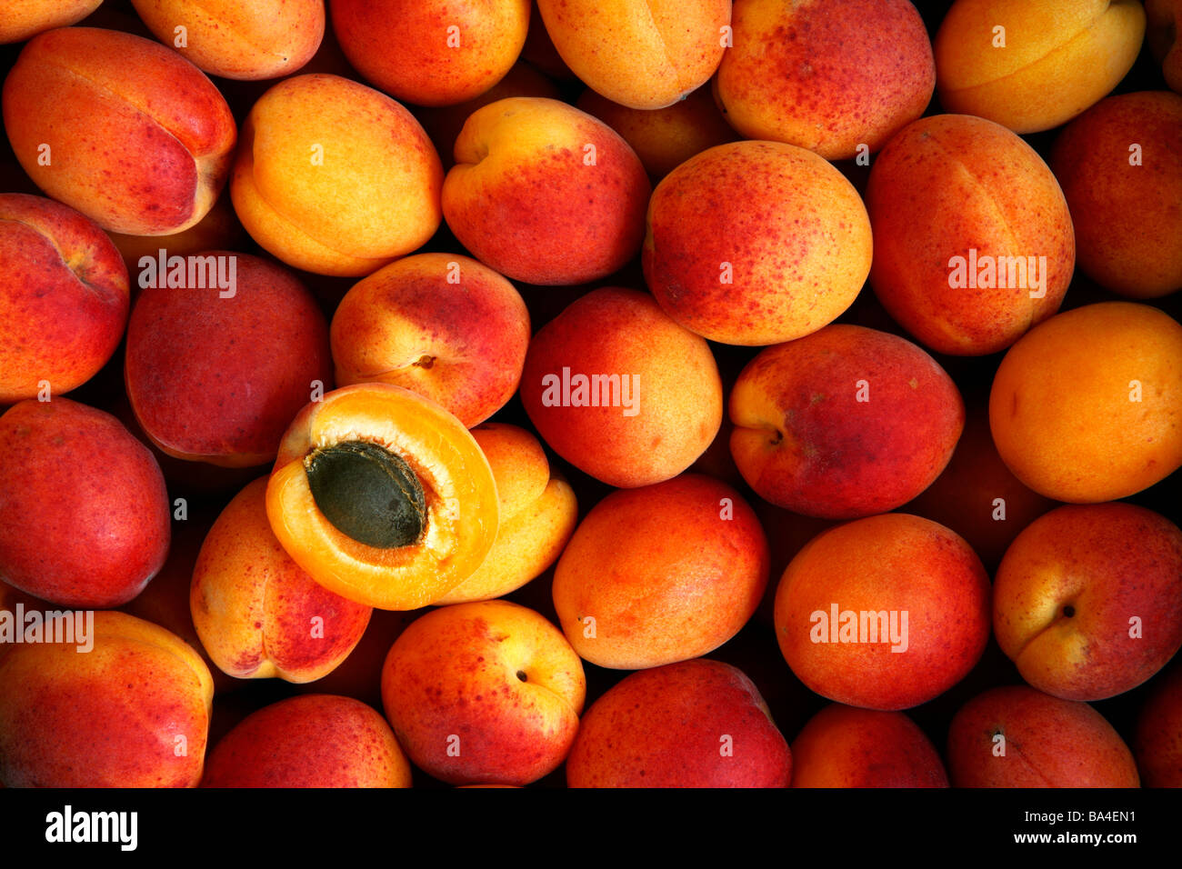 A box of apricots viewed from above Stock Photo - Alamy