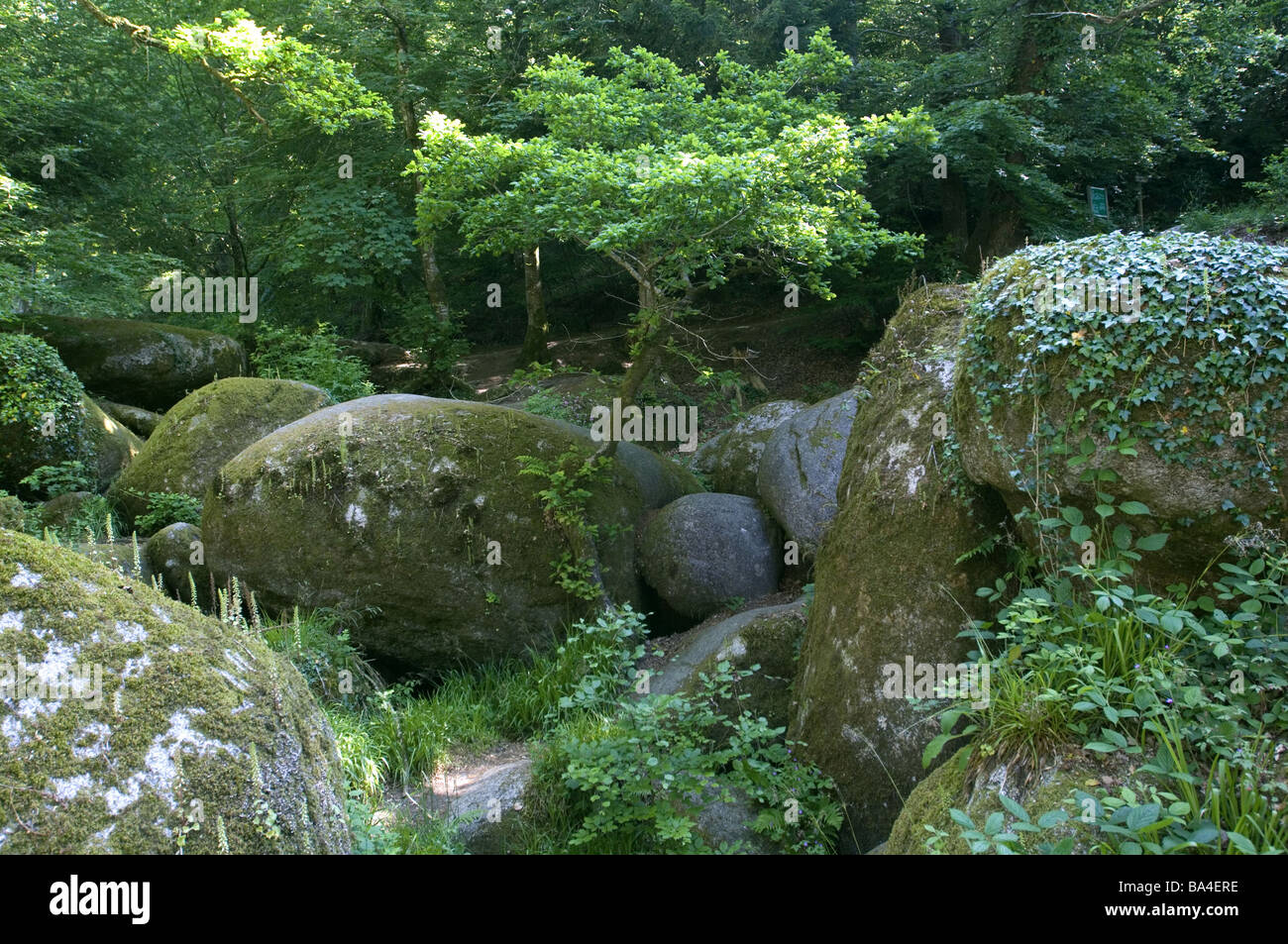 France Brittany Foret de Huelgoat stones west-France Département ...