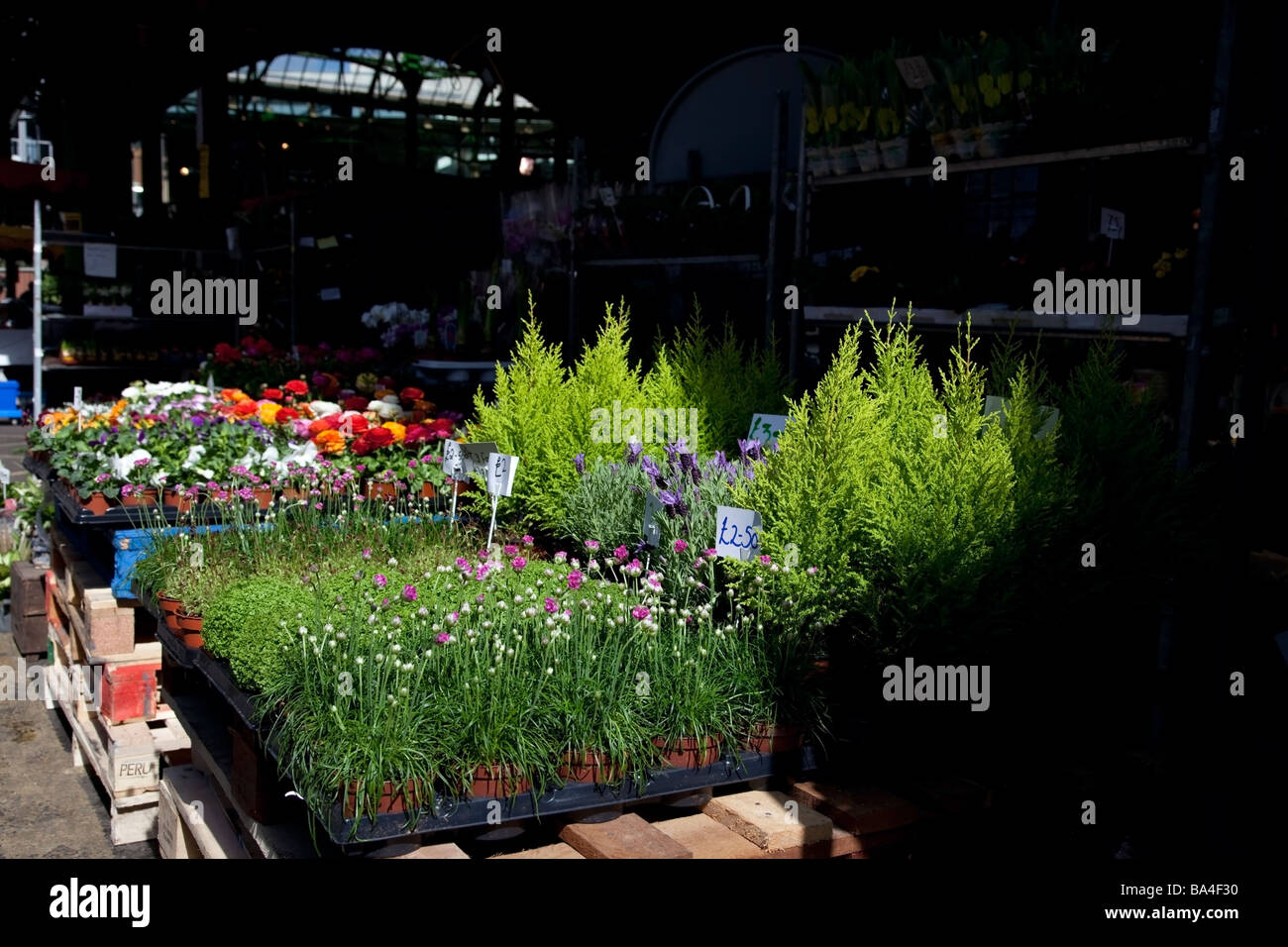 London Borough Market Stock Photos & London Borough Market Stock Images ...