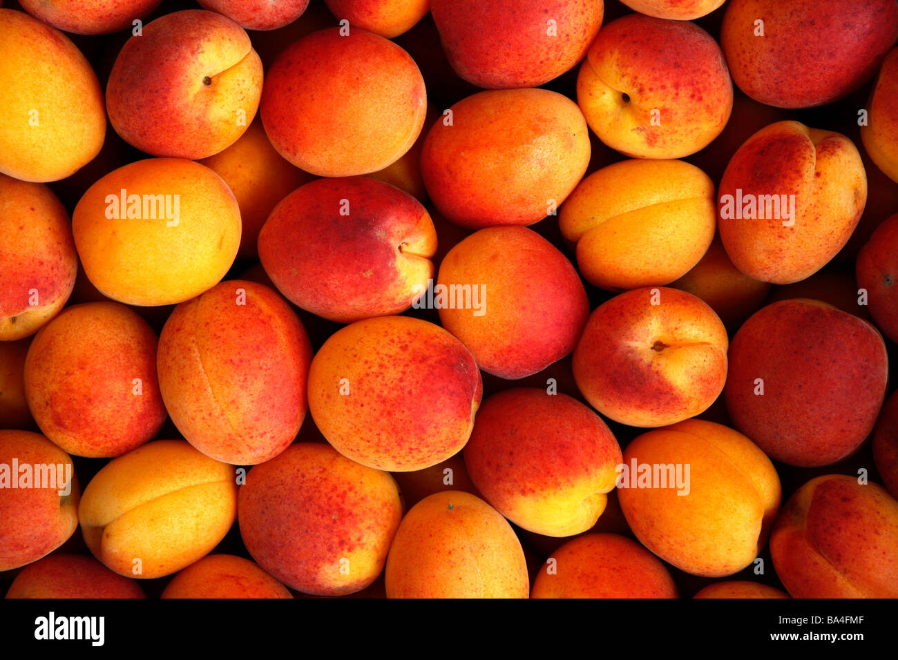 A box of apricots viewed from above Stock Photo - Alamy