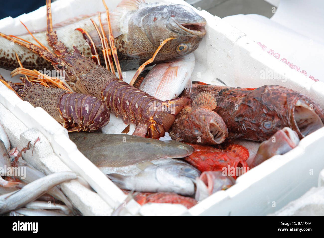 Sardinia fish market hi-res stock photography and images - Alamy
