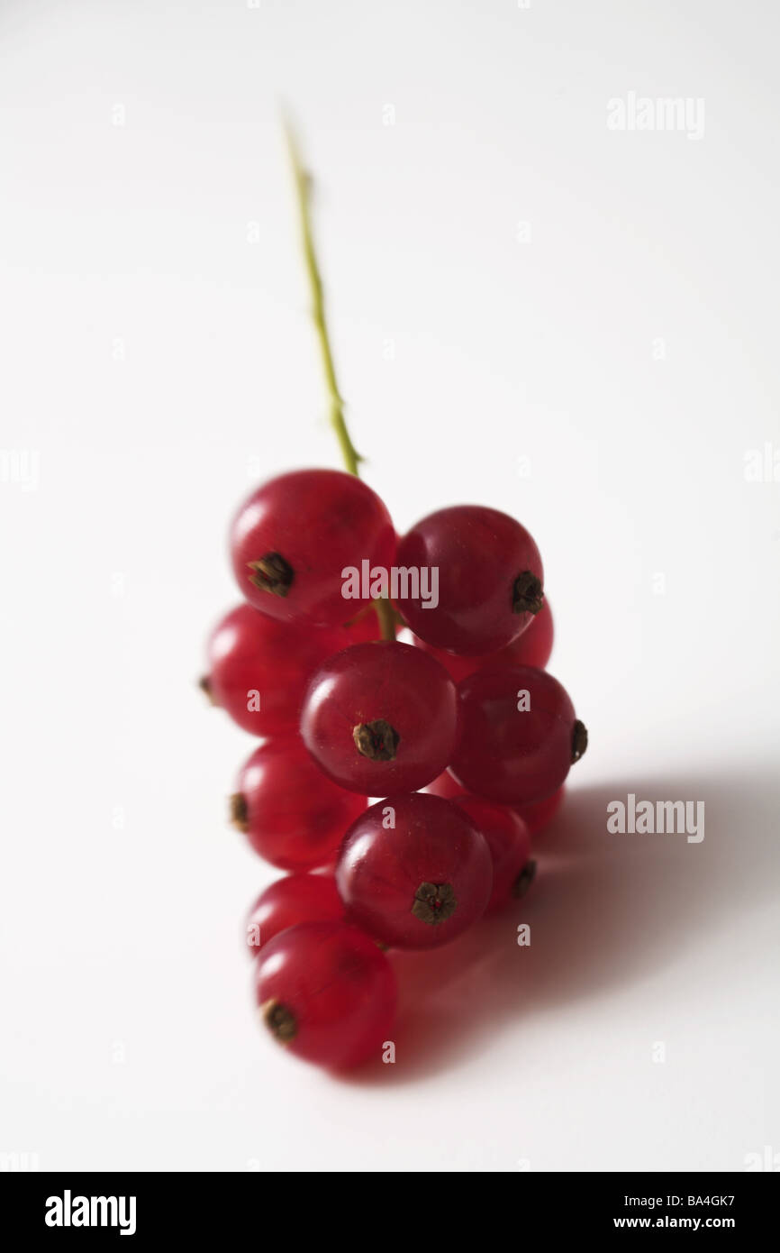 Red currants Ribes rubrum food fruit fruits summer-fruit berry-fruit ...