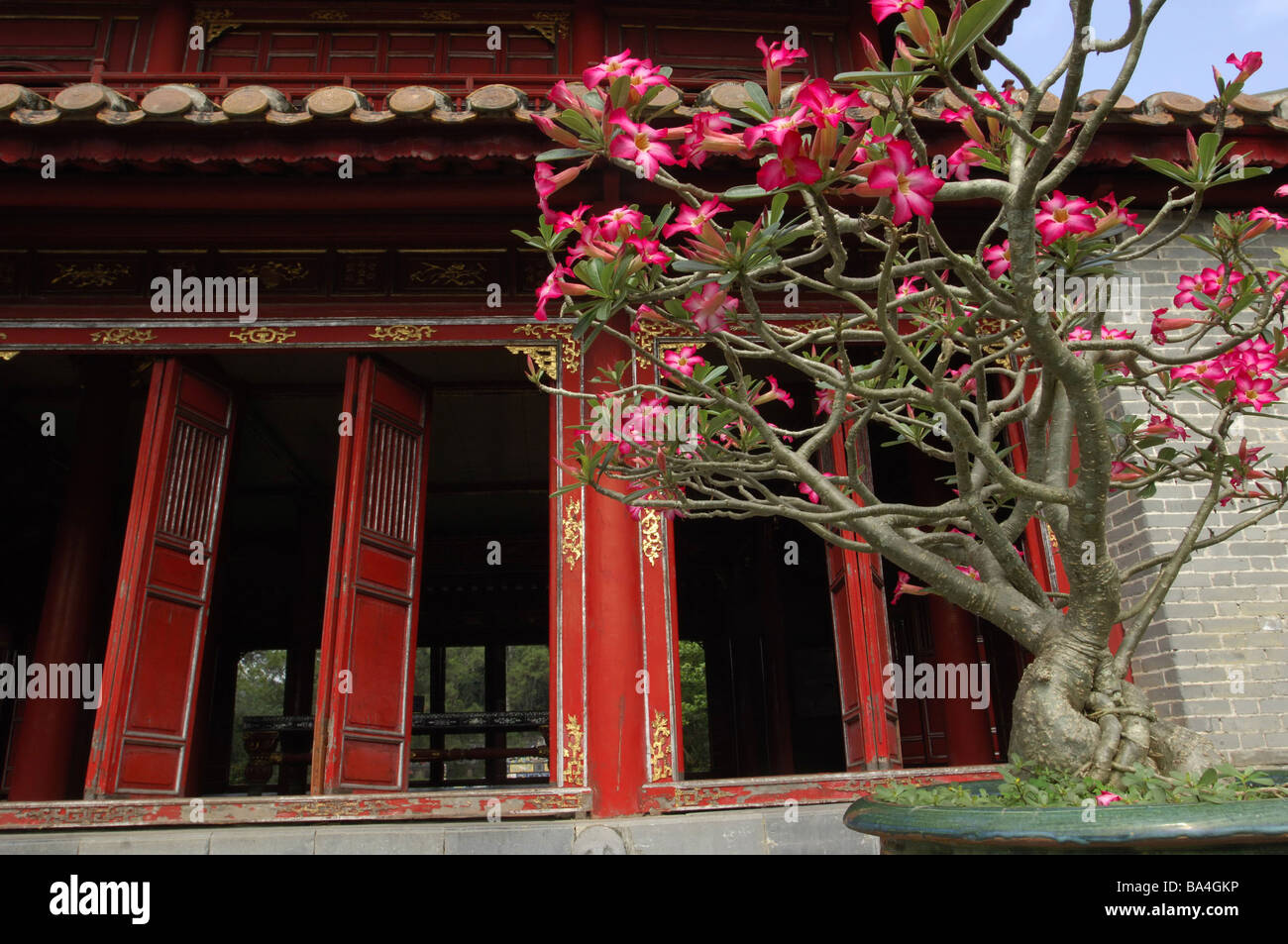 Is in store Vietnam Hue grave of the King Minh Mang bonsai detail Asia ...