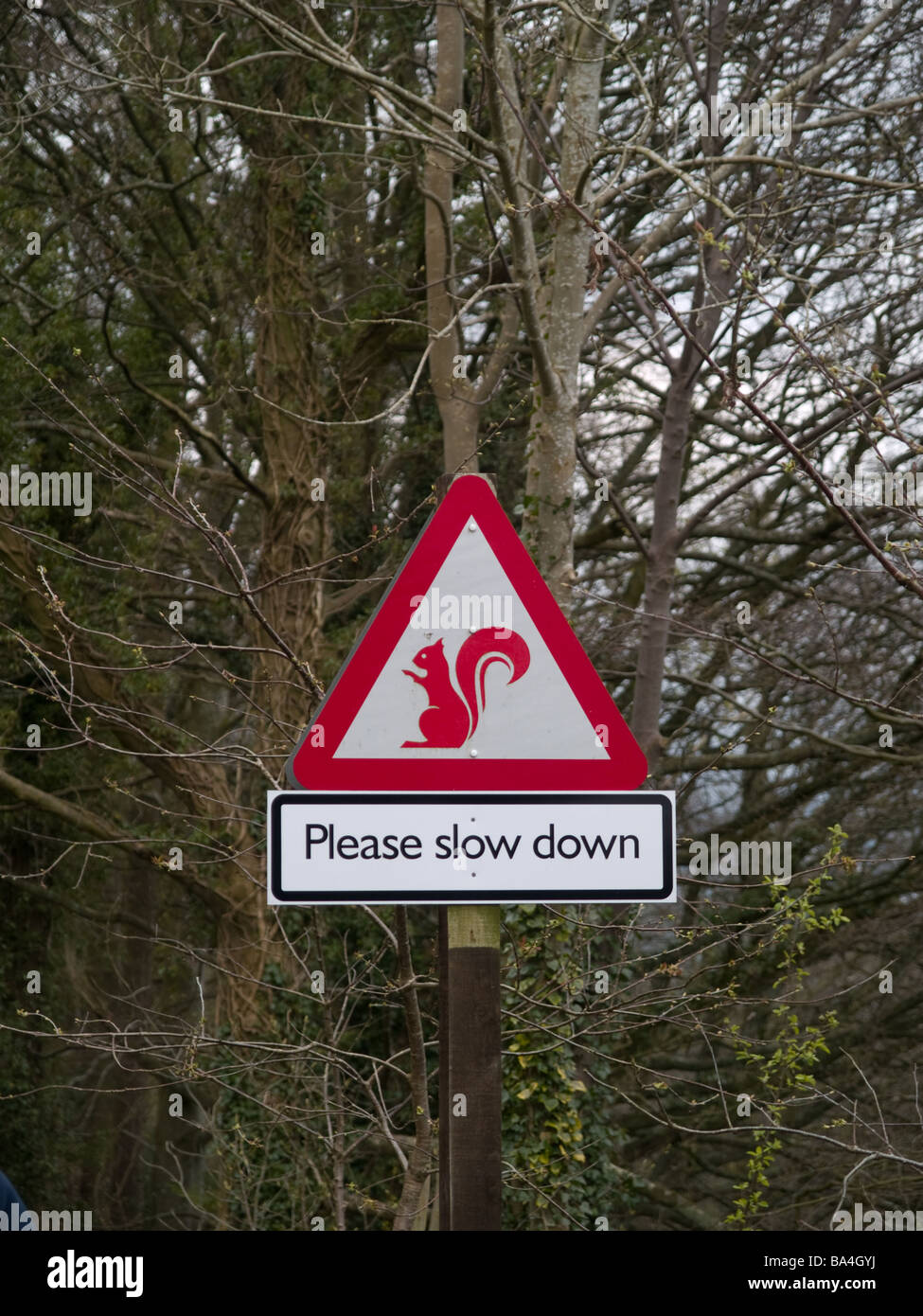 Slow down sign hi-res stock photography and images - Alamy