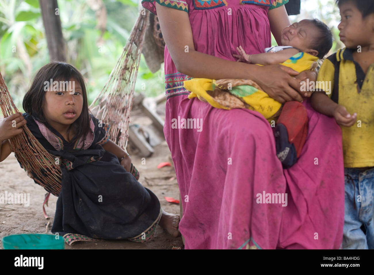 Indigenous local hi-res stock photography and images - Alamy