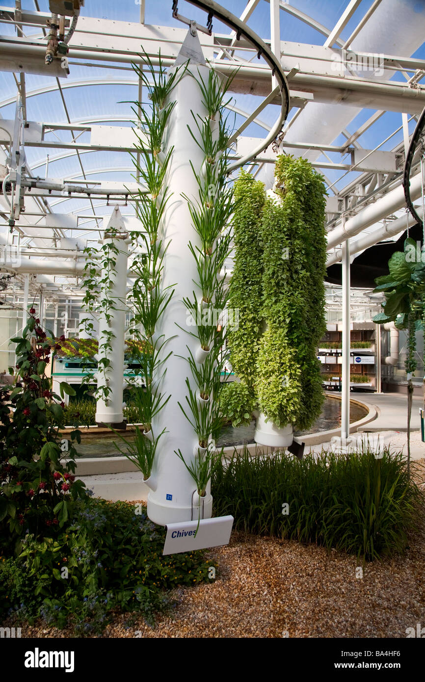 Hydroponic garden hydroponics biotechnology epcot hi-res stock ...