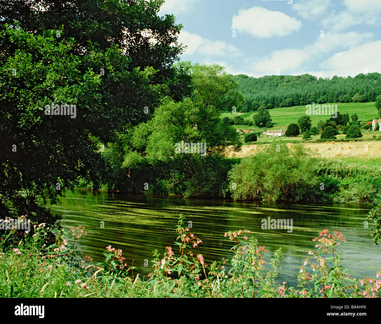 Whitebrook valley hi-res stock photography and images - Alamy