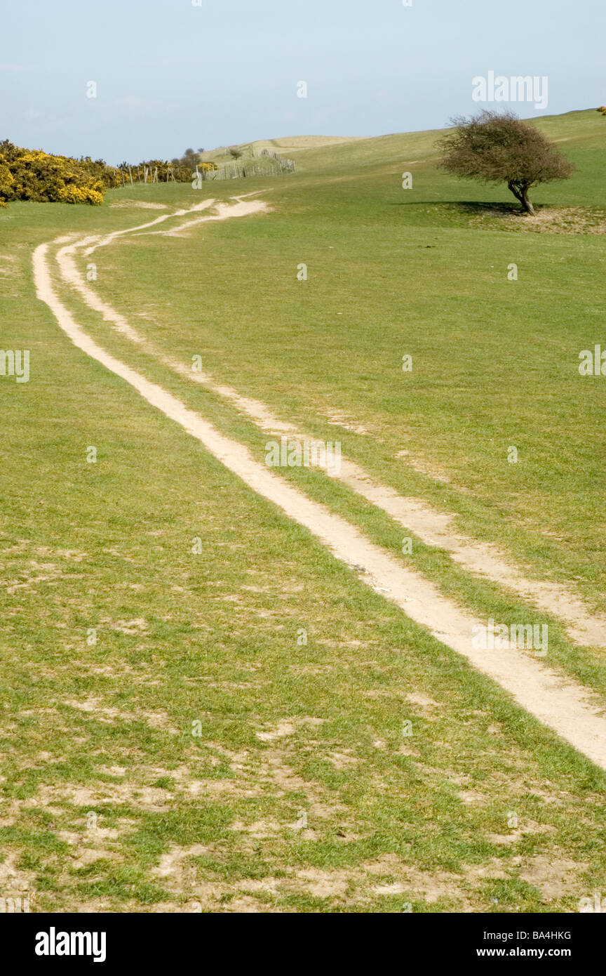 The South Downs Way long-distance footpath in southern England Stock ...