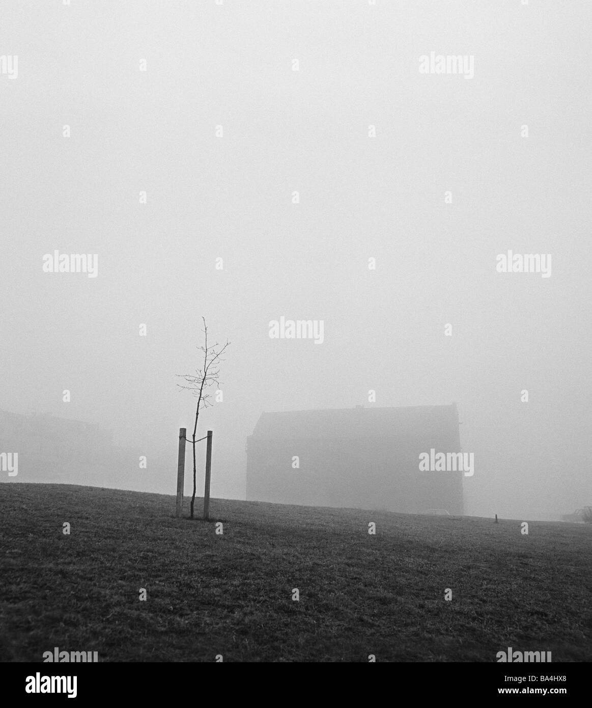 Young lithuania Black and White Stock Photos & Images - Alamy