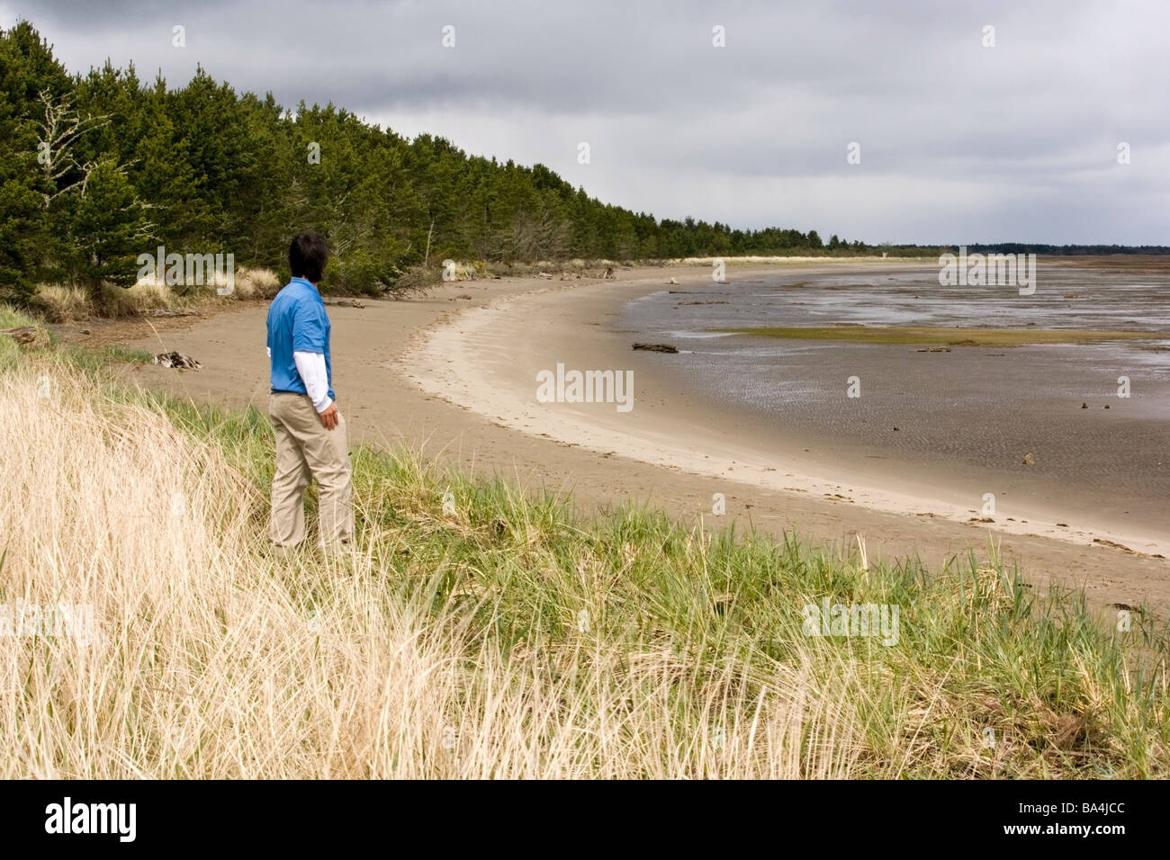 Shoreline of Willapa Bay - Leadbetter Point State Park, Washington ...