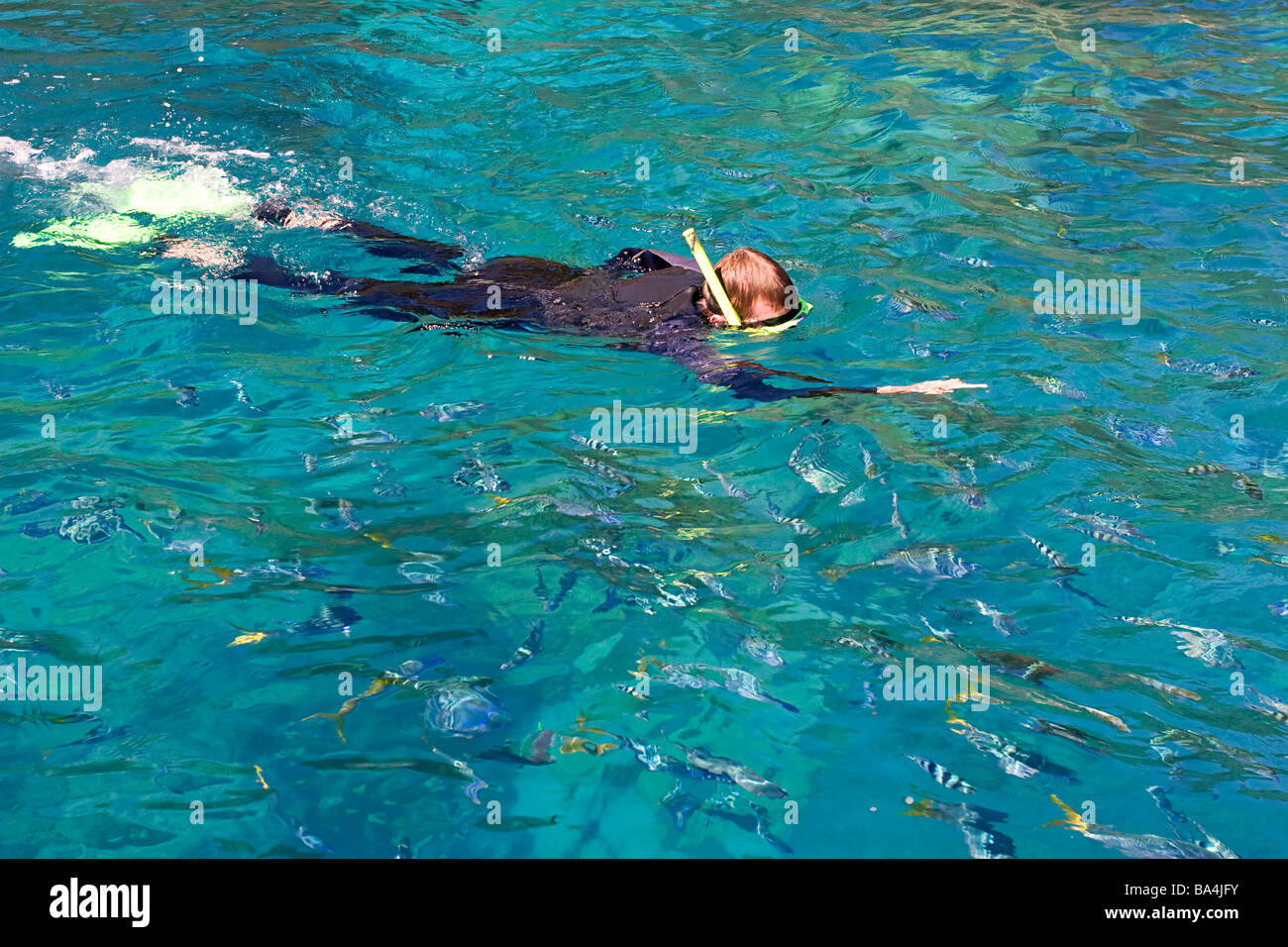 Tropical australia hi-res stock photography and images - Alamy