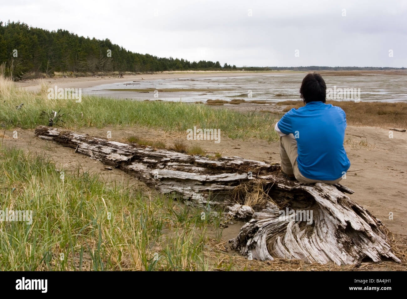 Leadbetter Point State Park - Long Beach Peninsula, Washington Stock ...