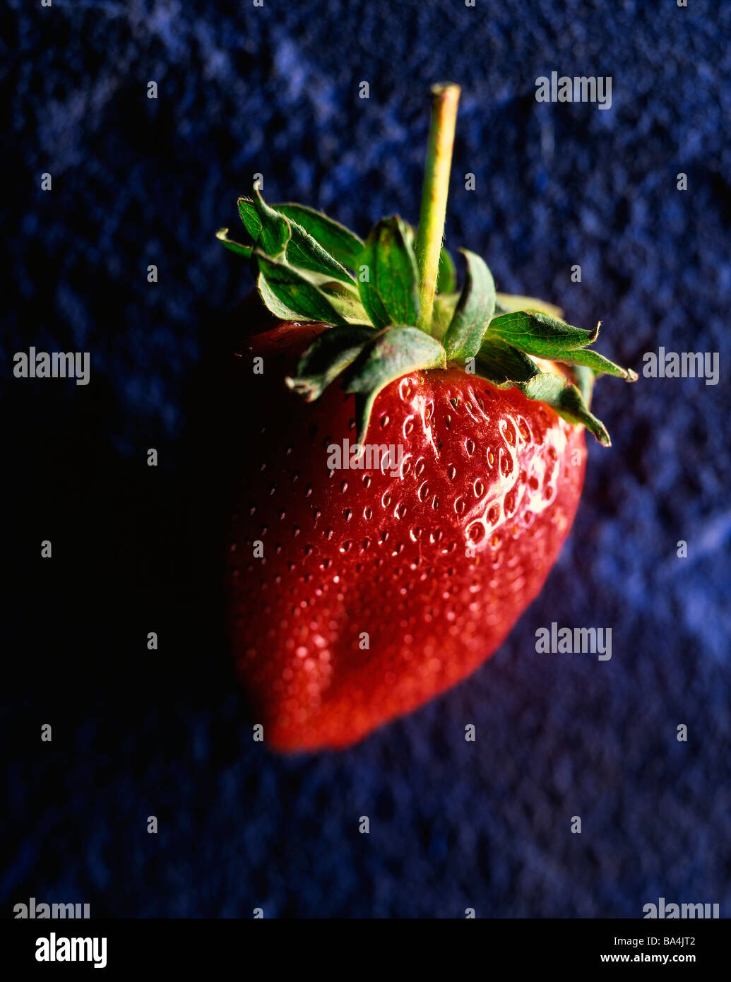 strawberry, blue background Stock Photo - Alamy