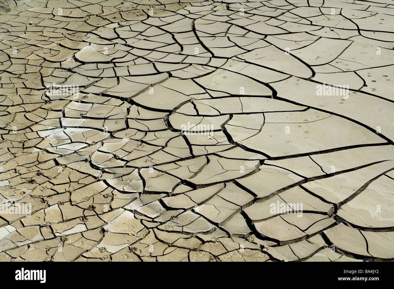 Clay-ground dried up detail dry-rips desert earth clay ground clayey ...