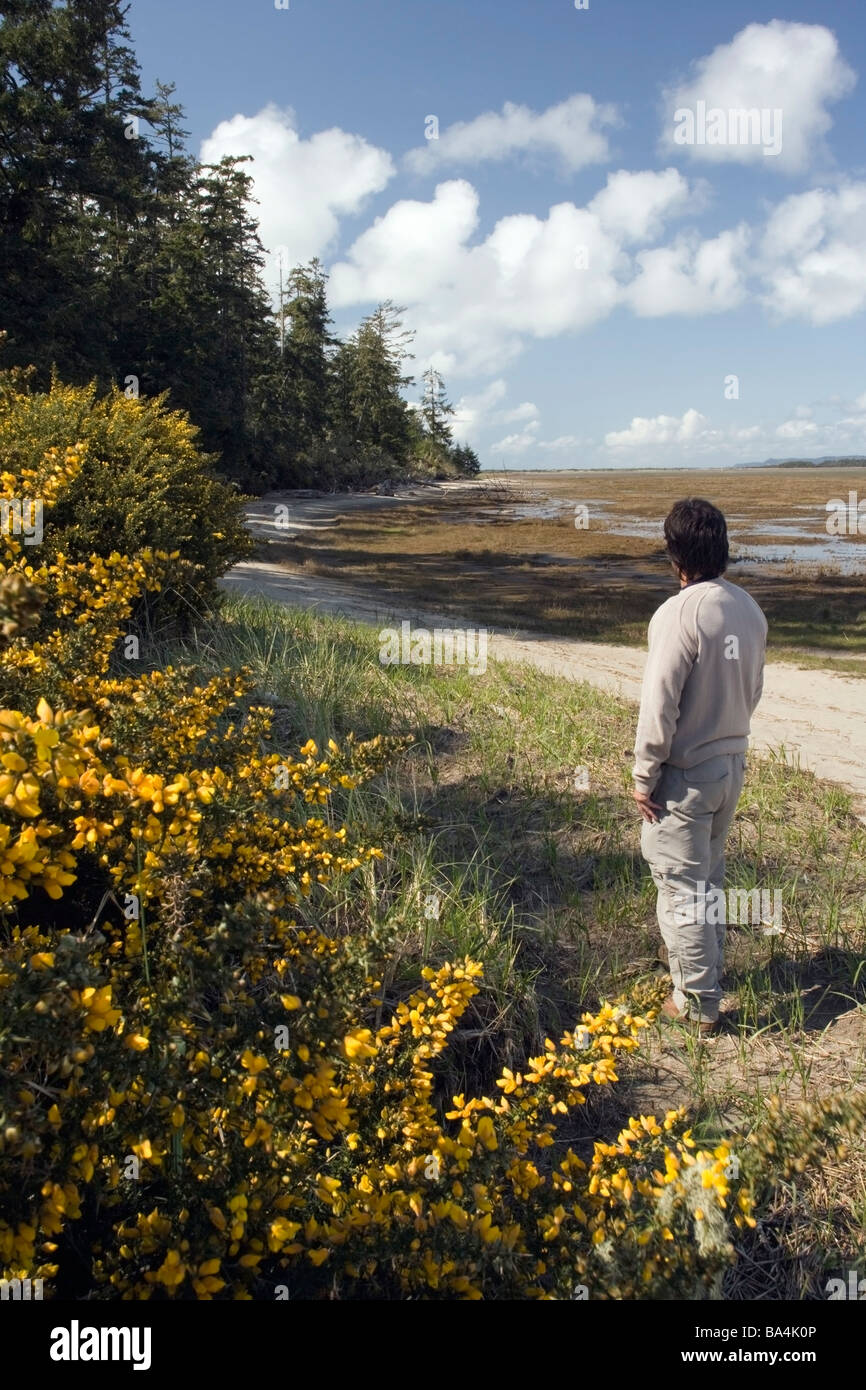 Leadbetter Point State Park - Long Beach Peninsula, Washington Stock ...