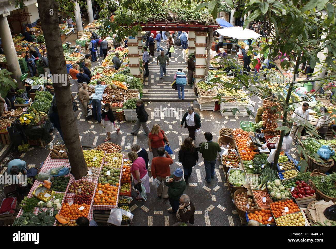 Market, Funchal City, Madeira Stock Photo - Alamy