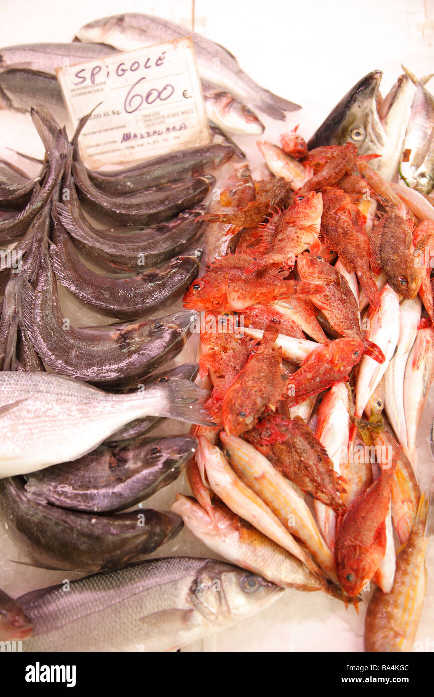 Sardinia Fish Market High Resolution Stock Photography and Images - Alamy