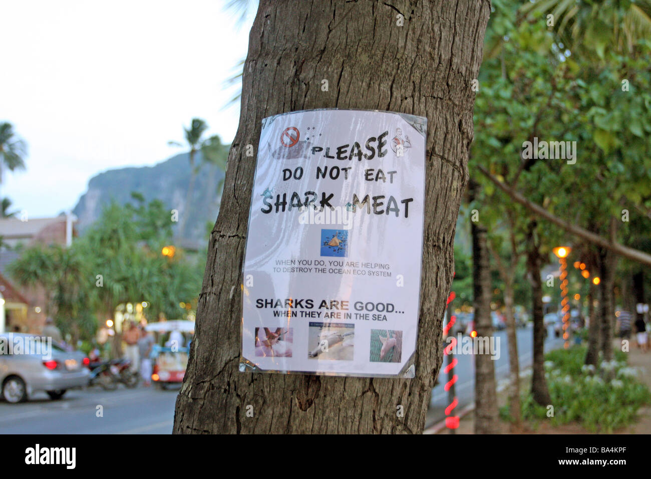 shark meat warning Stock Photo - Alamy