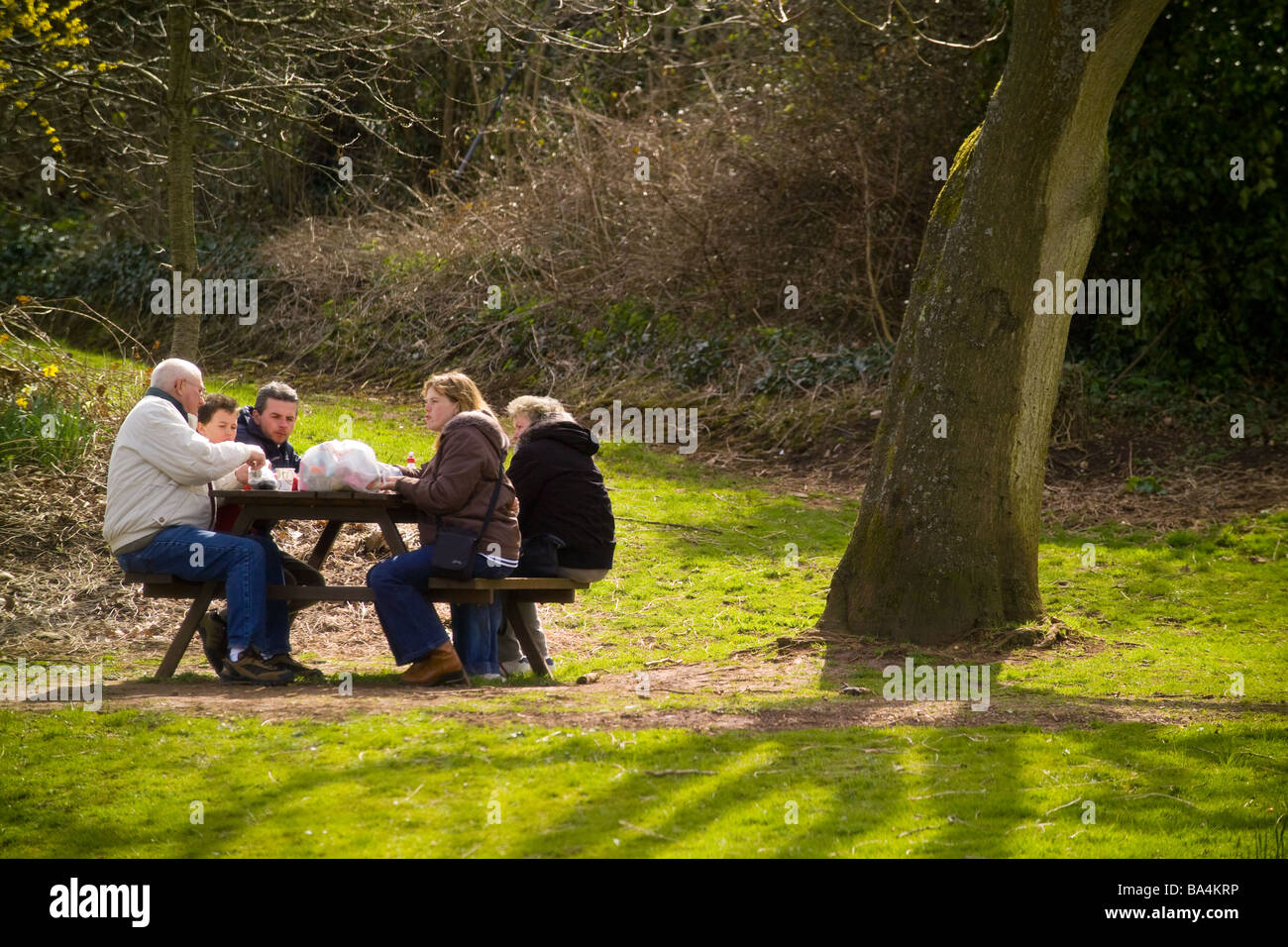 photograph of family eating picnic lunch under a tree Stock Photo - Alamy