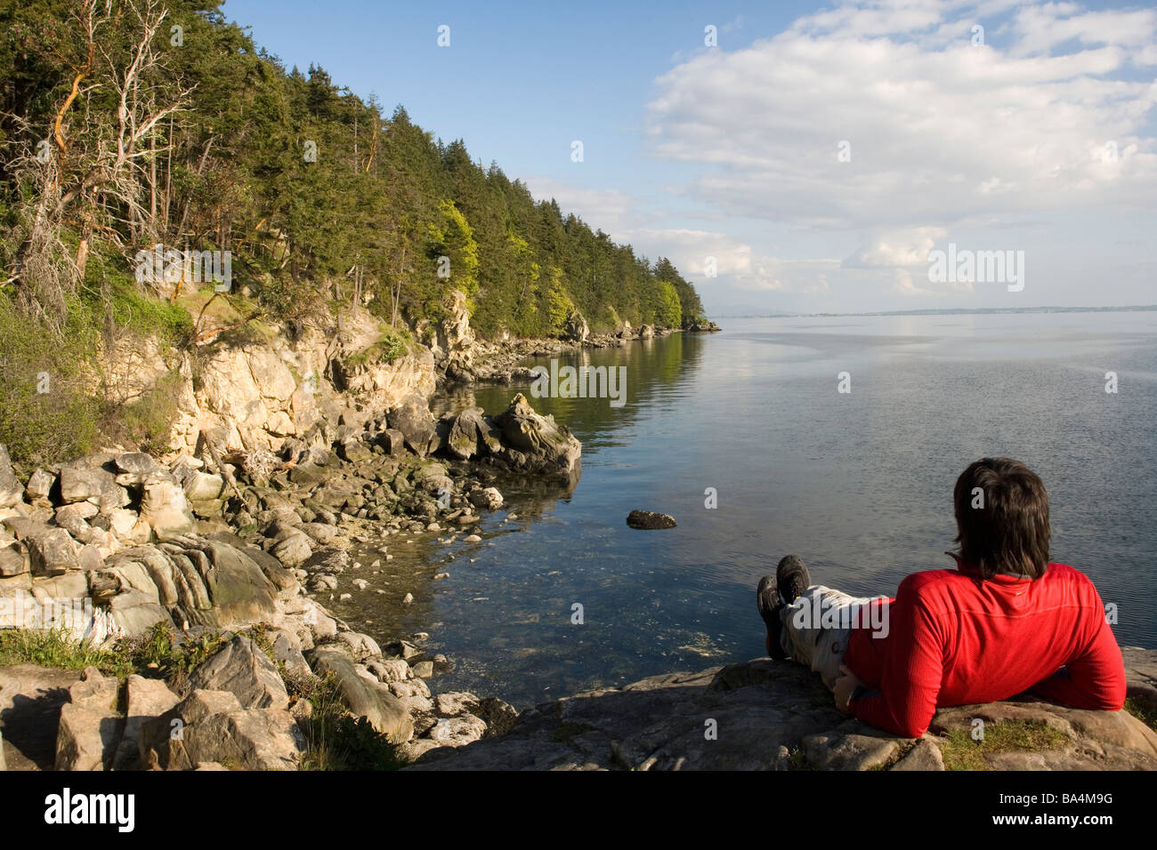 Samish Bay - Larrabee State Park, Washington Stock Photo - Alamy