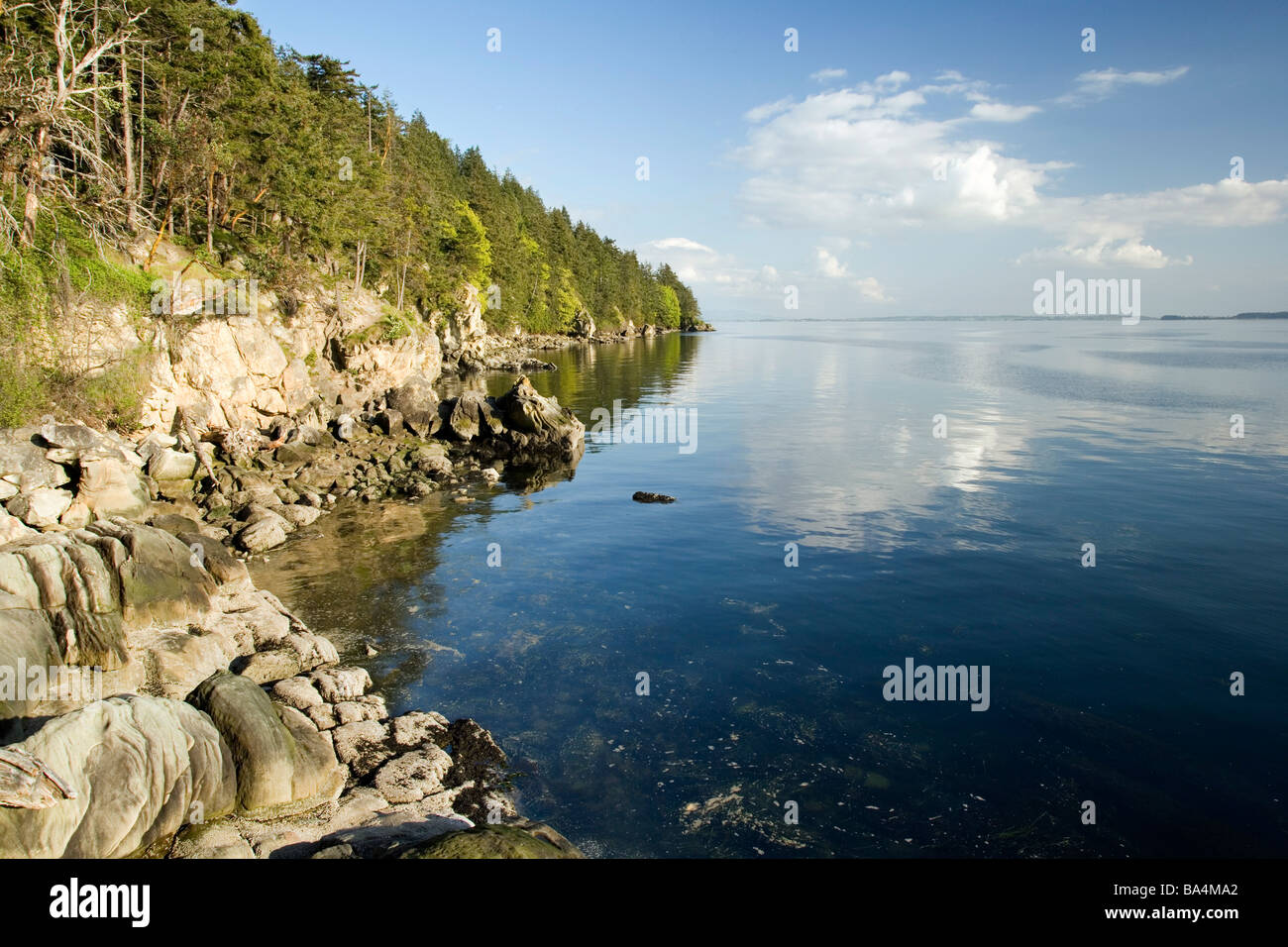 Samish Bay - Larrabee State Park, Washington Stock Photo - Alamy