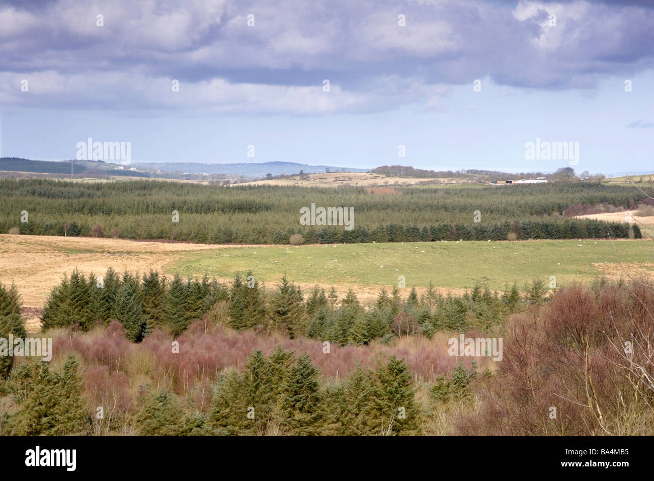 Llandegla forest wales hi-res stock photography and images - Alamy