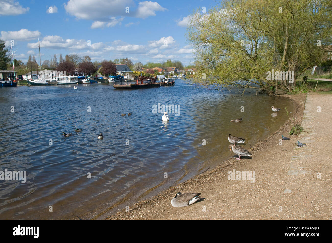 River thames beach hi-res stock photography and images - Alamy
