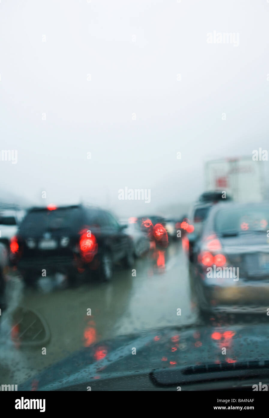 Driving through rain forest hi-res stock photography and images - Alamy