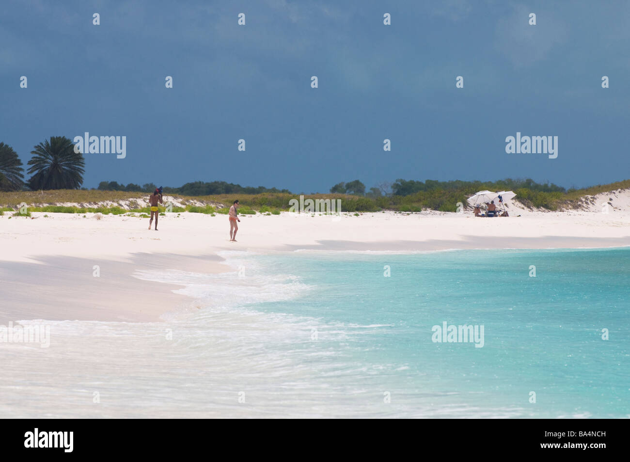 white sand beach Cayo De Agua Los Roques Venezuela South America Stock ...