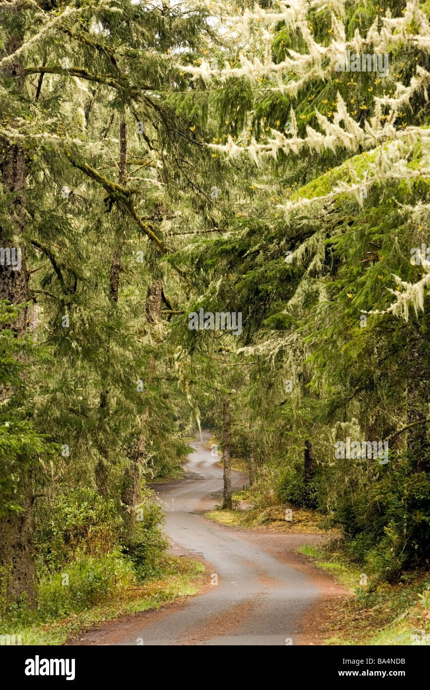 Leadbetter point hi-res stock photography and images - Alamy