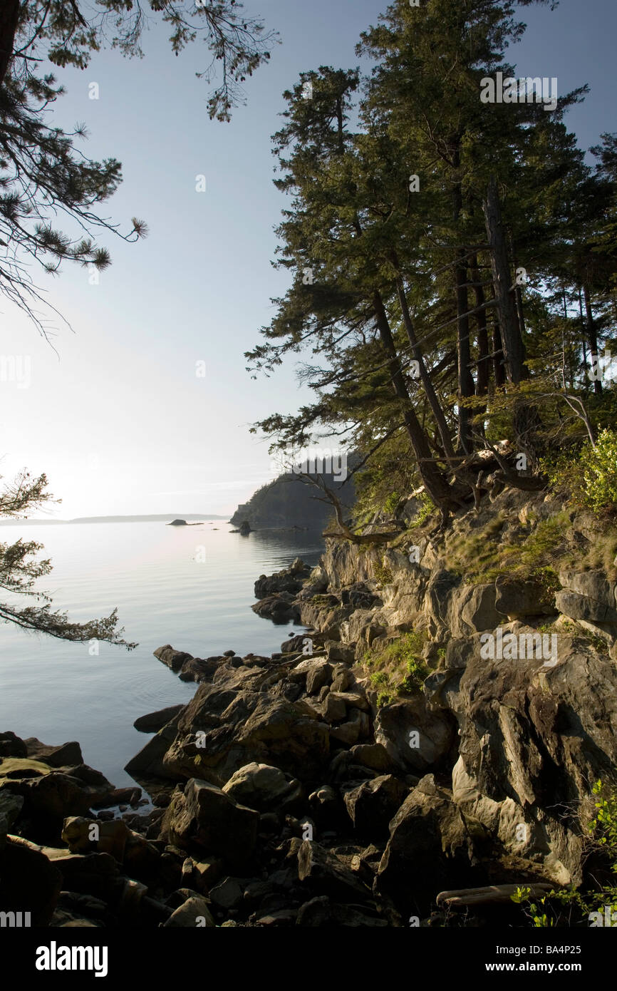 Samish Bay - Larrabee State Park, Washington Stock Photo - Alamy