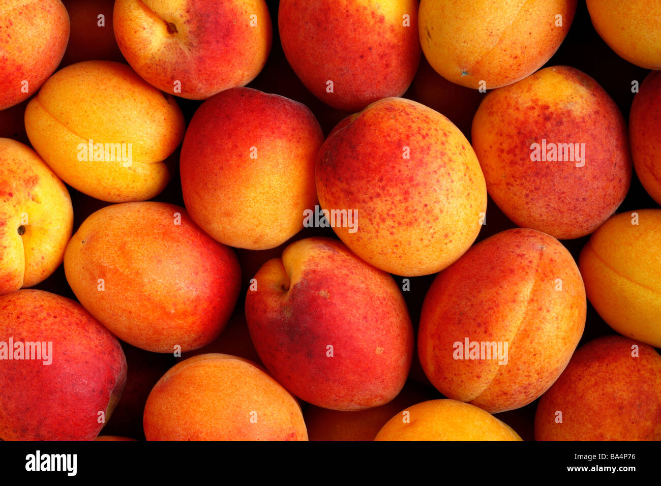 A box of apricots viewed from above Stock Photo - Alamy