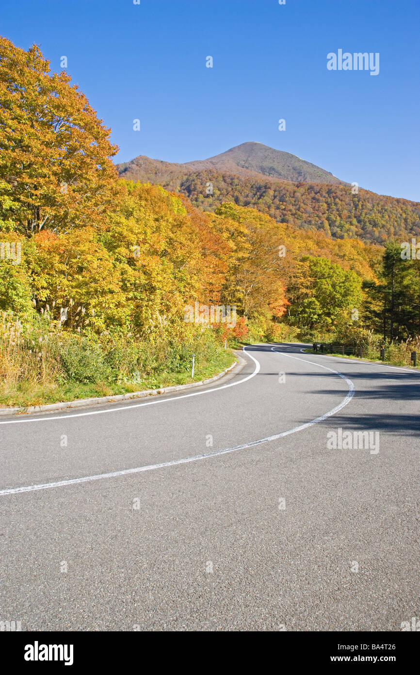 Roadway through trees in hi-res stock photography and images - Alamy