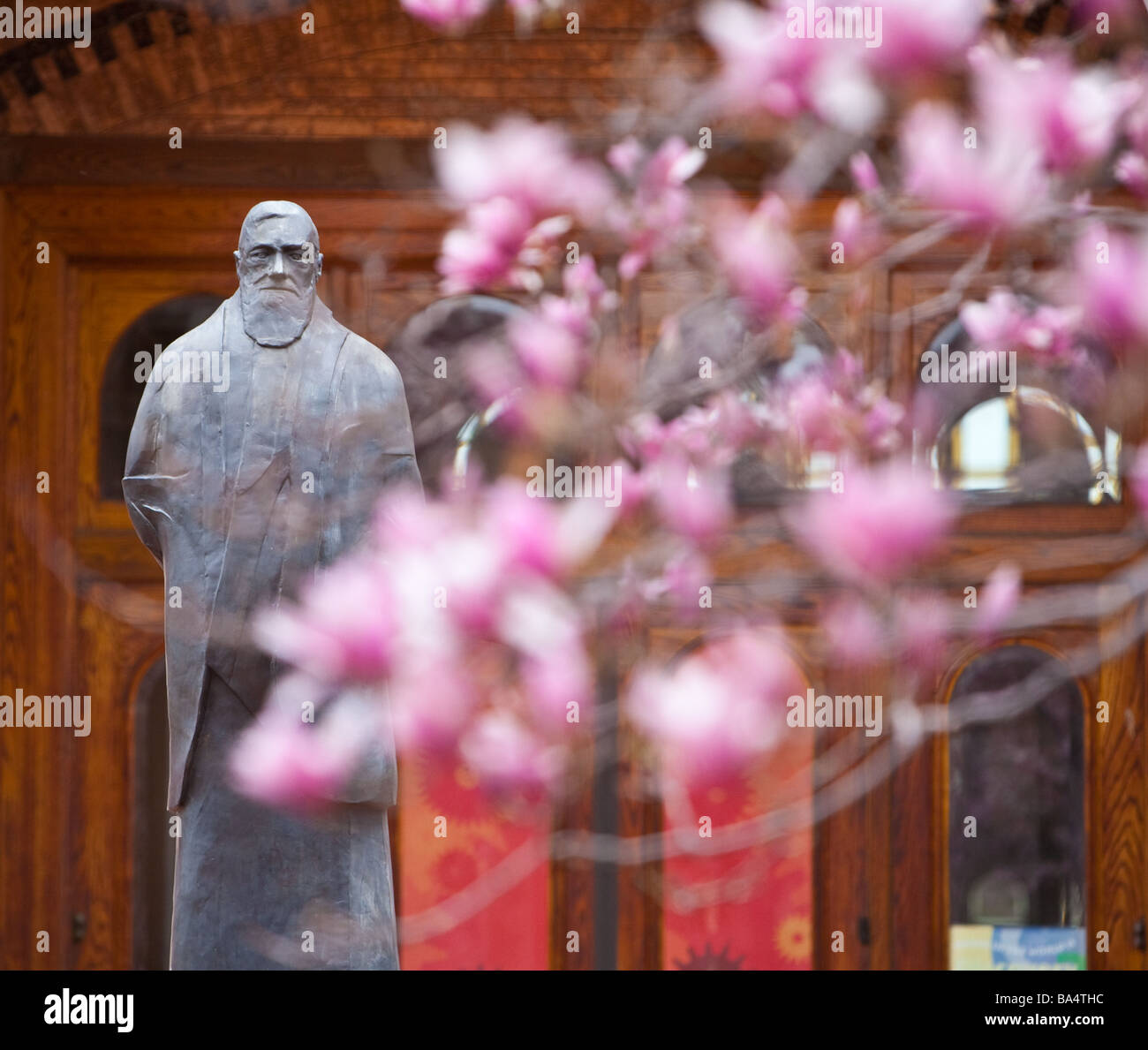 Washington DC Cherry Blossoms Stock Photo - Alamy