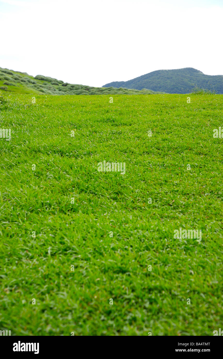 Green field with mountain in background Stock Photo - Alamy